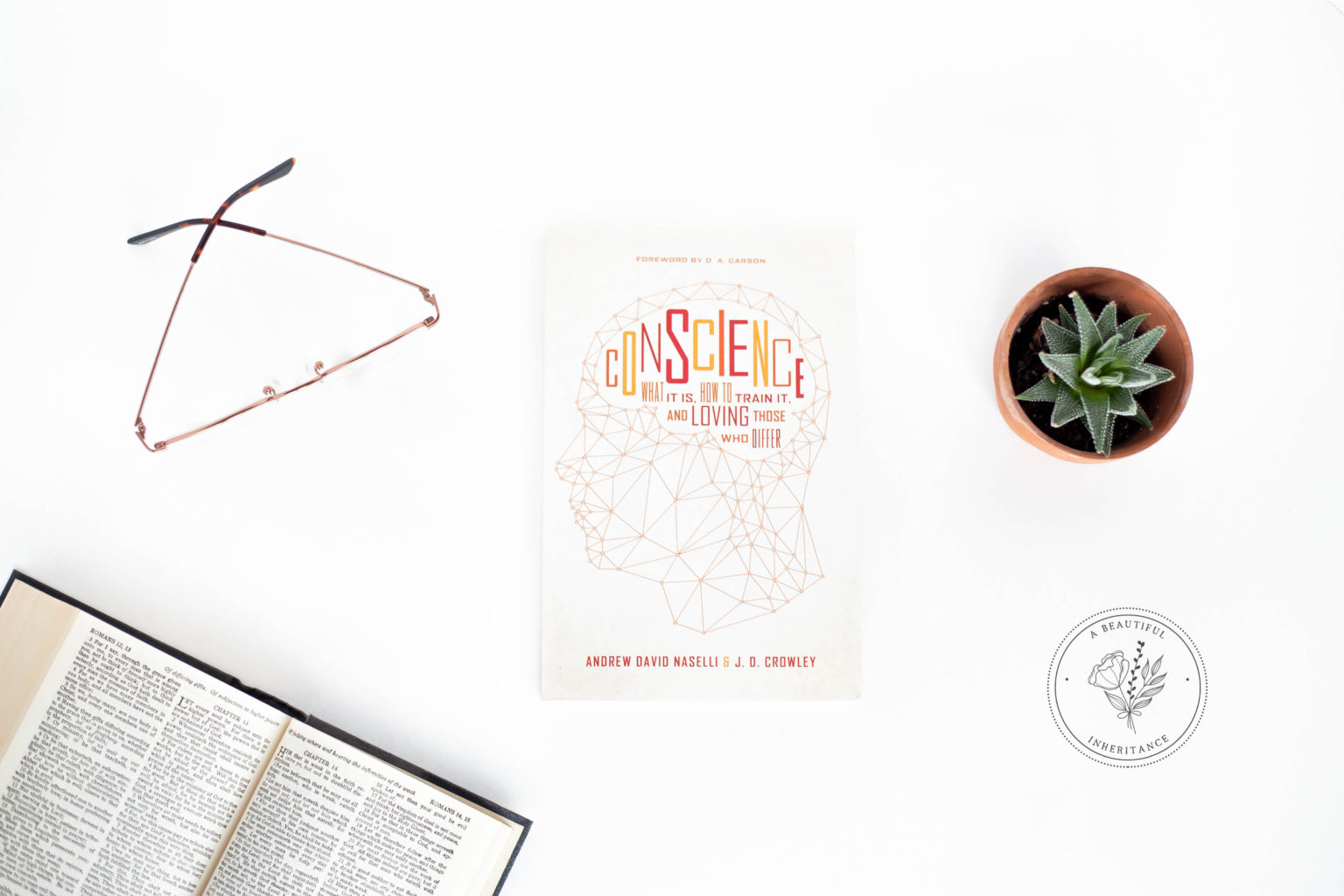 Conscience: What It Is, How to Train It, and Loving Those Who Differ ...