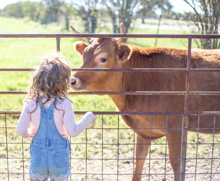 Crowe's Nest Farm 2021 - A Beautiful Inheritance
