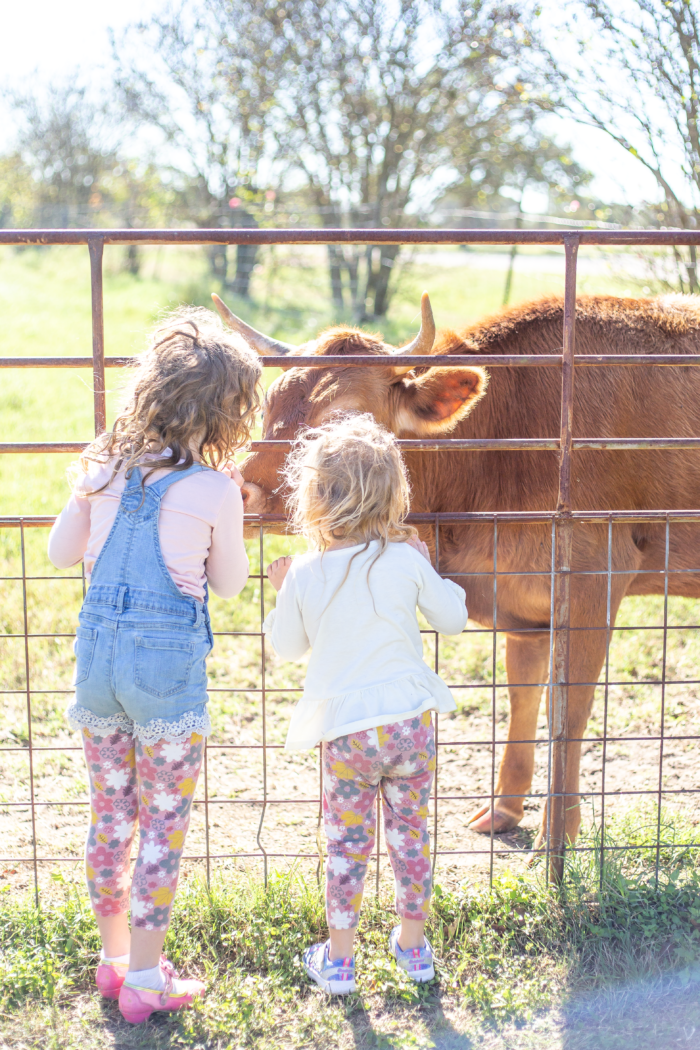 Crowe's Nest Farm 2021 - A Beautiful Inheritance