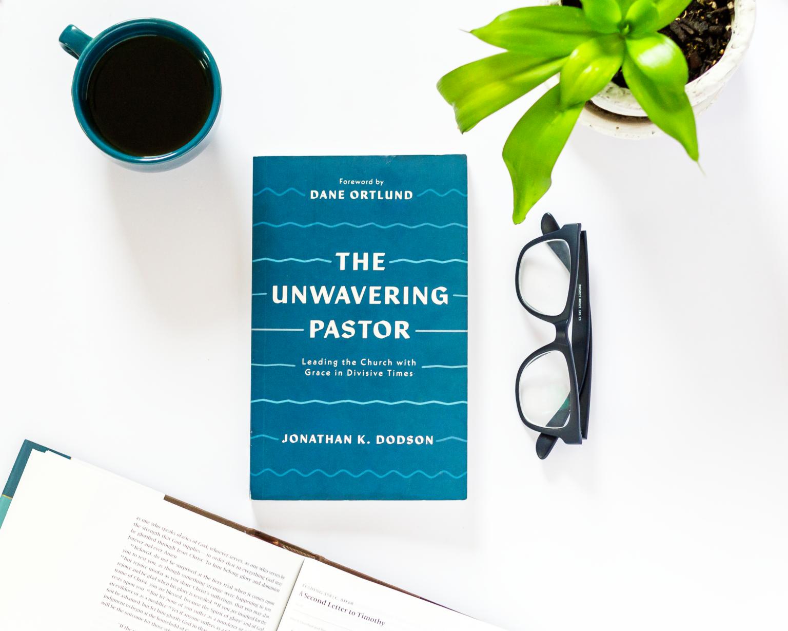Book Reviews - A Beautiful Inheritance