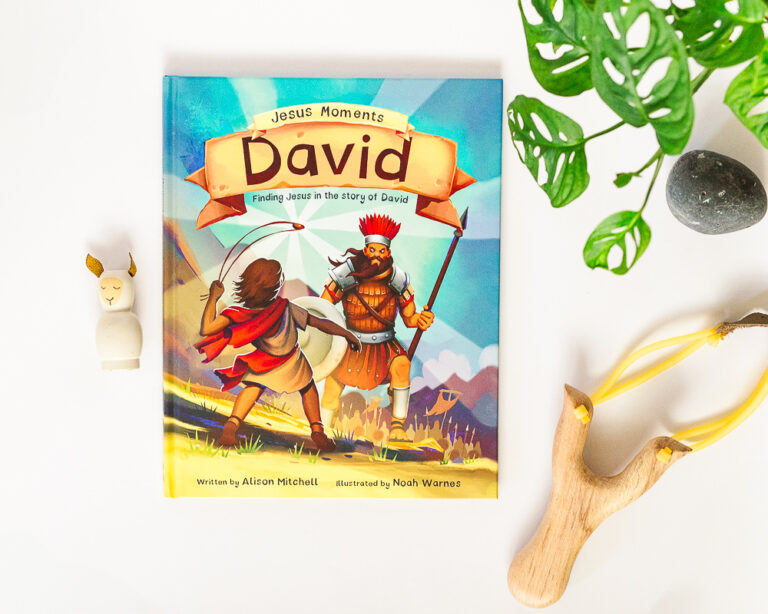 Jesus Moments: David Book Review - A Beautiful Inheritance