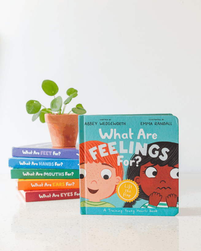 What Are Feelings For? Book Review - A Beautiful Inheritance